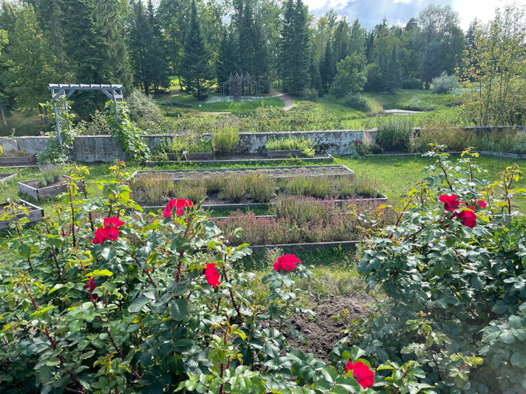 Turistik yerler Фундамент оранжерей усадьбы Марьино, Saint‑Petersburg ve Leningradskaya oblastı, foto