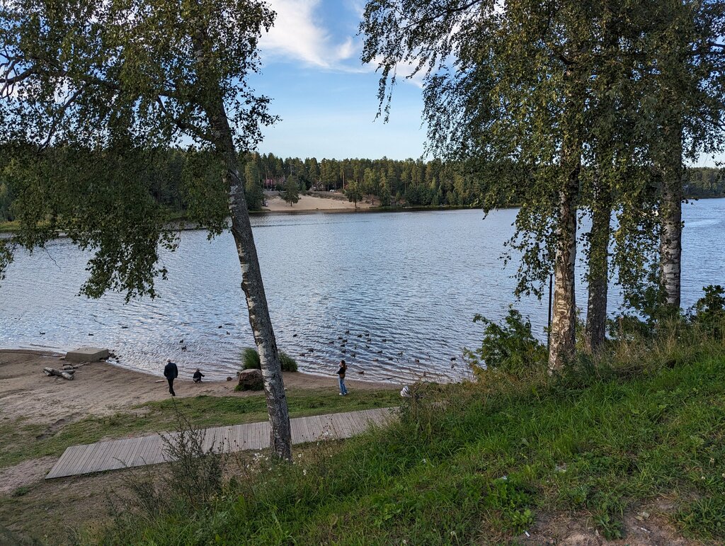 Piknik alanı Место для пикника, Saint‑Petersburg ve Leningradskaya oblastı, foto