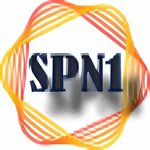 Spiral prismatic packing (Lebedyanskoye Highway No:1), ev yapımı içki ekipmanları  Lipetsk'ten