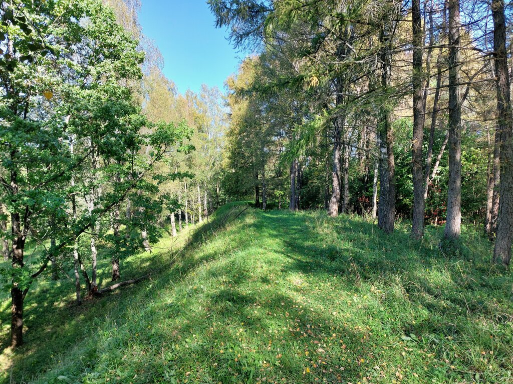 Turistik yerler Древнее городище, Yelnia, foto