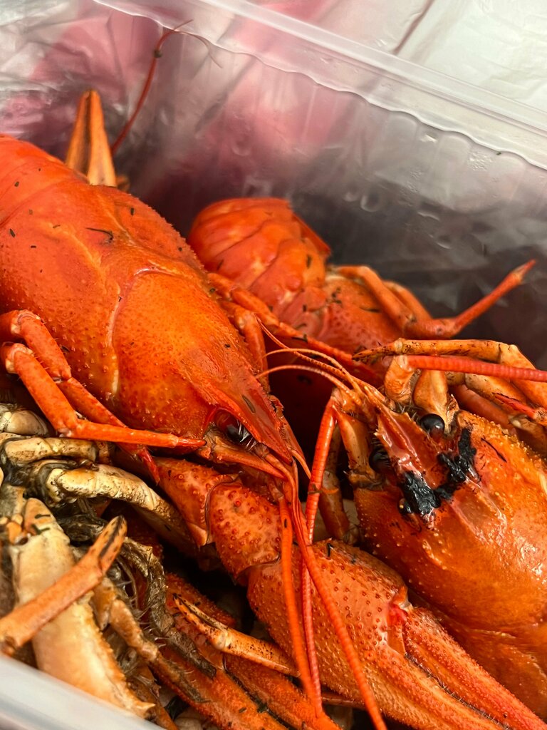 Balık ve deniz ürünleri Живые раки, Sertolovo, foto