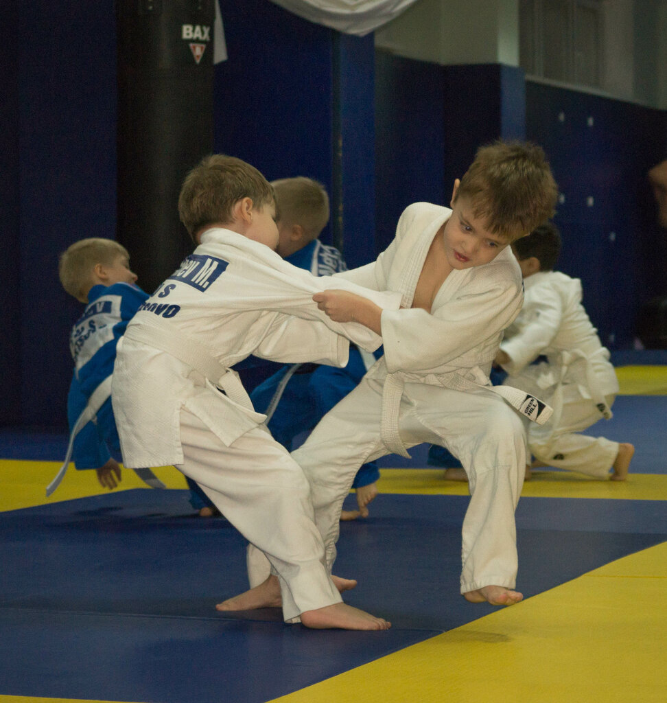 Spor okulları Nippon, Odintsovo, foto