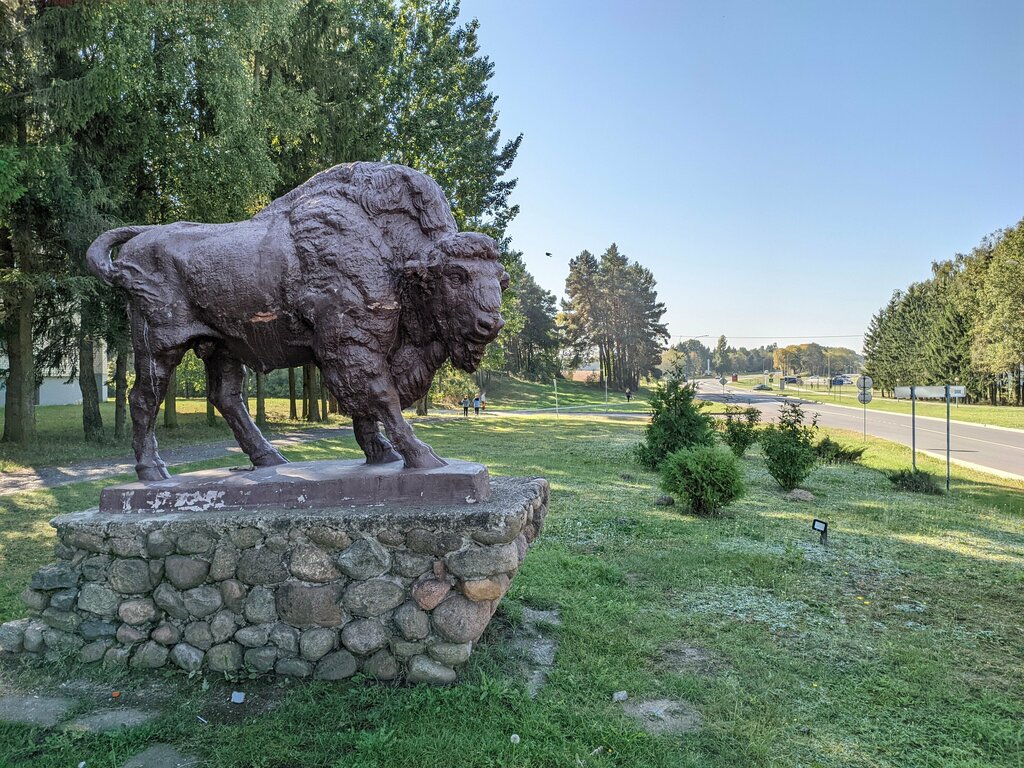 Park, sokak heykeli Зубр, Kamenets, foto