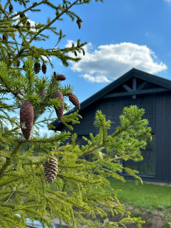 Satış ofisi Art House, Moskova ve Moskovskaya oblastı, foto