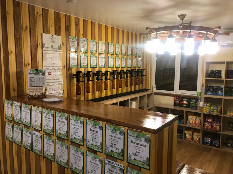 Bira dükkanı Дикий Хмель, Kamyşlov, foto