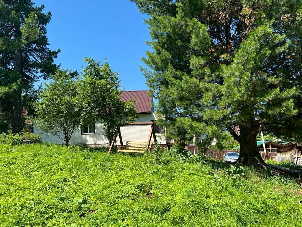 Resort oteller, tesisler Kedr-Nil, Altay Cumhuriyeti, foto