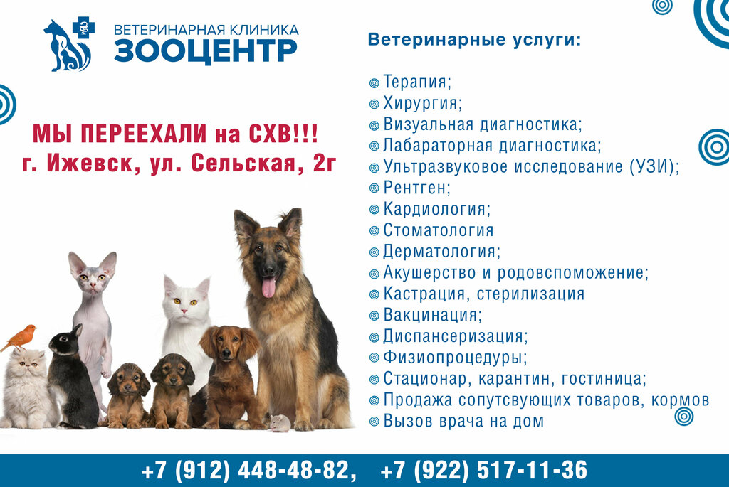 Veteriner klinikleri Zootsentr, Izhevsk, foto