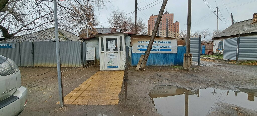 Veteriner klinikleri Veterinarnyi kabinet, Astana, foto
