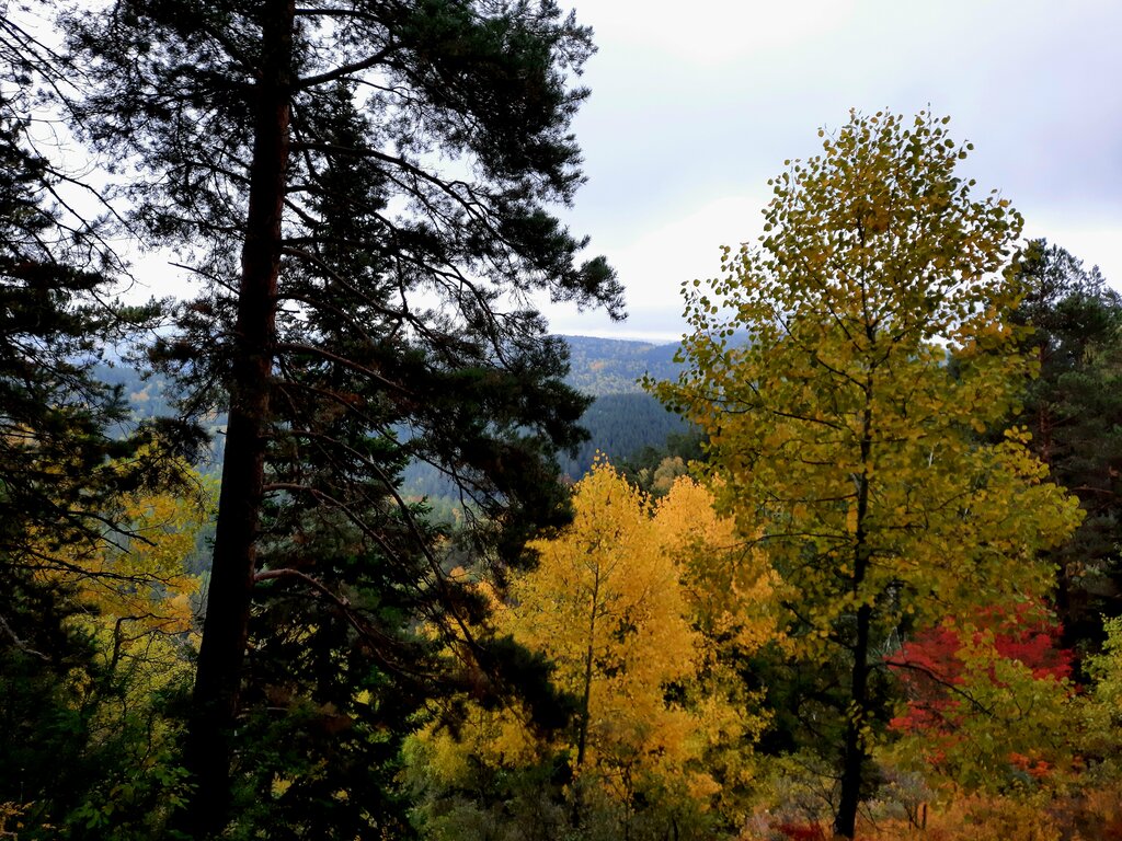 Dağ zirvesi Глухариные скалы, Altayski krayı, foto
