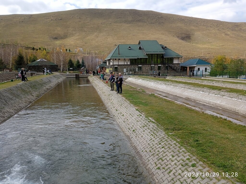 Balık çiftçiliği ve toptancıları Forel Farm, Almatı eyaleti, foto