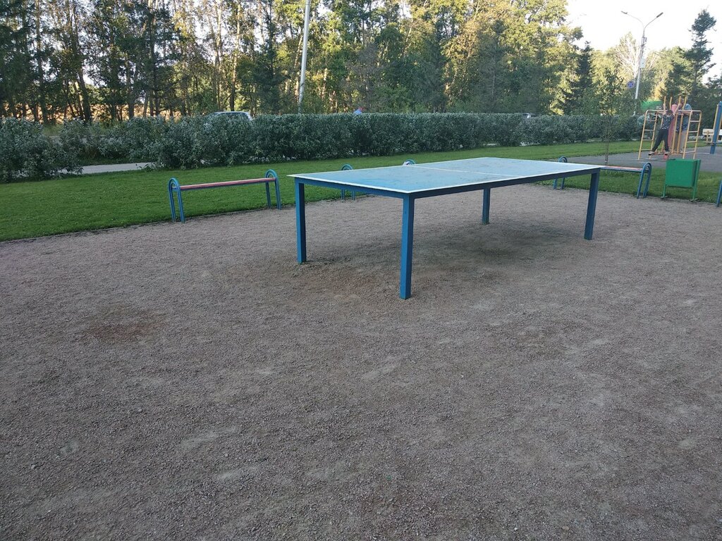 Spor alanı Площадка для настольного тенниса, Novosibirsk, foto
