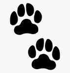 Laina (Karelskaya Street No:53), petshop  Yekaterinburg'dan