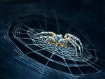 SpiderMet (Turayevskoye shosse No:17, TSN Sosnovy Bor), metal konstrüksiyon firmaları  Moskova ve Moskovskaya oblastından