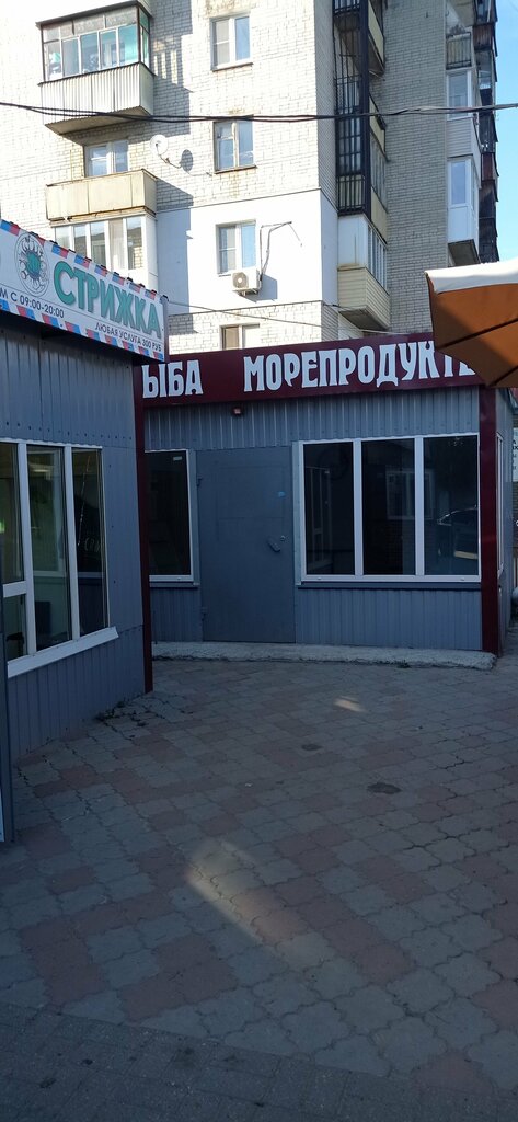 Balık ve deniz ürünleri Свежая рыба морепродукты, Nijni Novgorod, foto