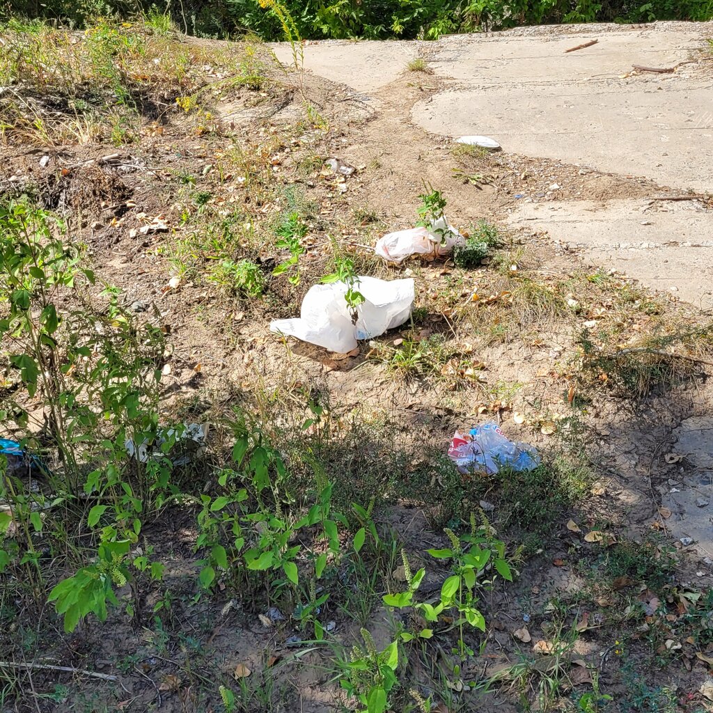 Bahçecilik dernekleri ve kuruluşları Осинки, Orenburg, foto