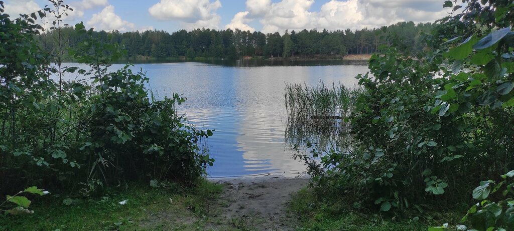 Plaj Пляж, Vladimirskaya oblastı, foto