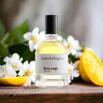 Beautique Fragrances Perfume and Cosmetics Store (Dubai Festival City Mall, Dubai Festival City, Ras Al Khor, Dubai), kozmetik ve parfümeri mağazaları