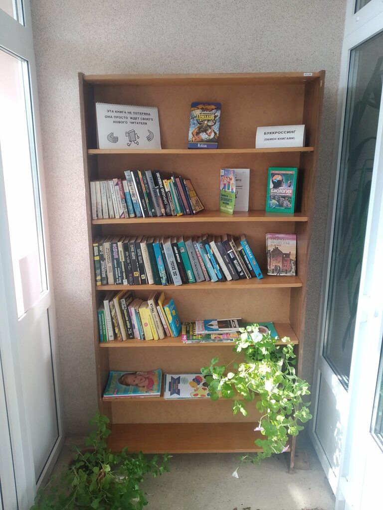 Kütüphaneler Biblioteka Radoshkovichskaya, Minskaya oblastı, foto