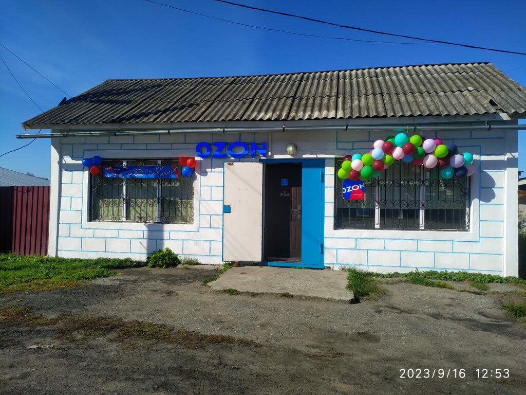 Elektrik ve benzinle çalışan aletler Электро- и бензоинструмент, Tomskaya oblastı, foto