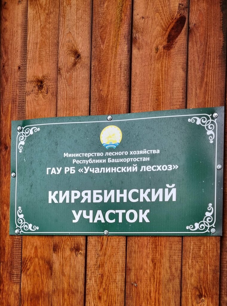 Orman işleri Uchalinsky les, Gup, MLKh Rb, Başkurdistan, foto