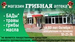 Magazin Gribnaya apteka (60 let Oktyabrya Street No:1, 10-y mikrorayon), besin takviyesi, aktariye  Belgorod'dan