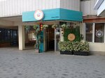Cesto di Pasta (Tbilisi Avenue No:157), kafe  Bakü'den