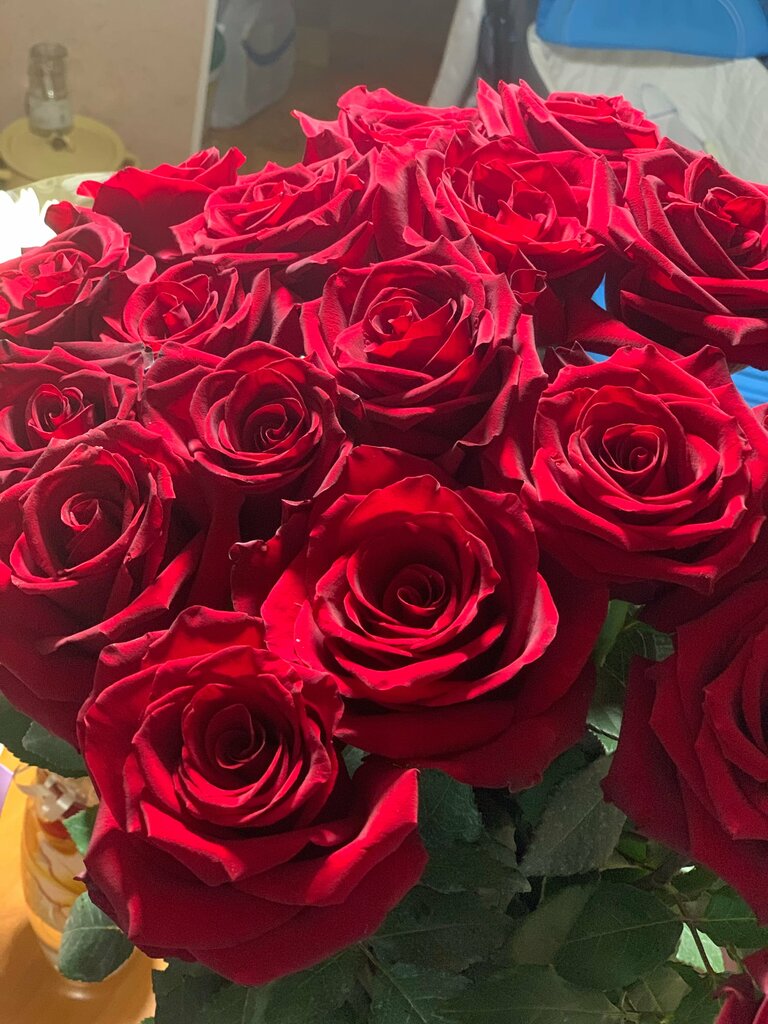 Çiçekçiler Цветы Даром, Rostov‑na‑Donu, foto