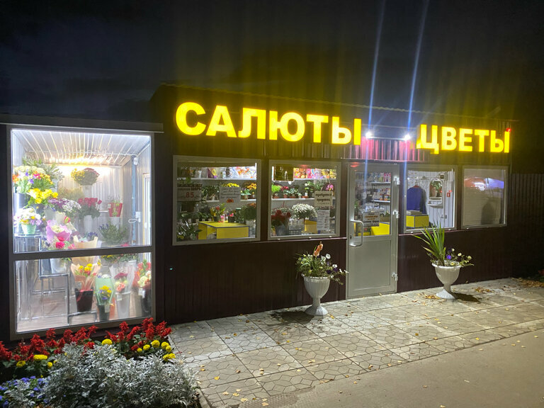 Çiçekçiler Салюты цветы, Kambarka, foto