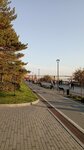 Метро Речной вокзал (Bol'shevistskaya Street No:45/1А), toplu taşıma durağı  Novosibirsk'ten