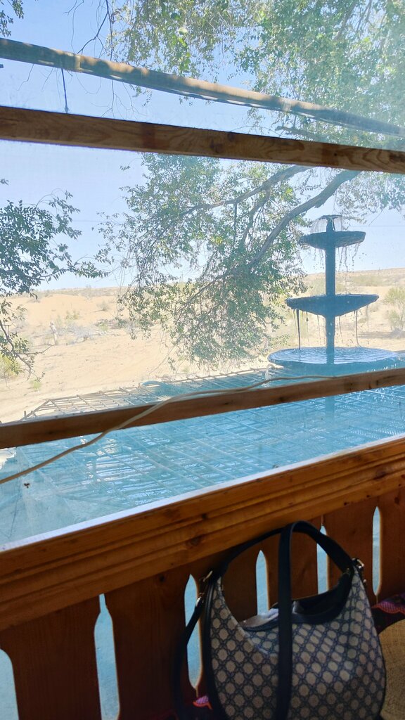 Kafe Fried Fish from Fresh Catch! Finger Licking Good, Harezm eyaleti, foto