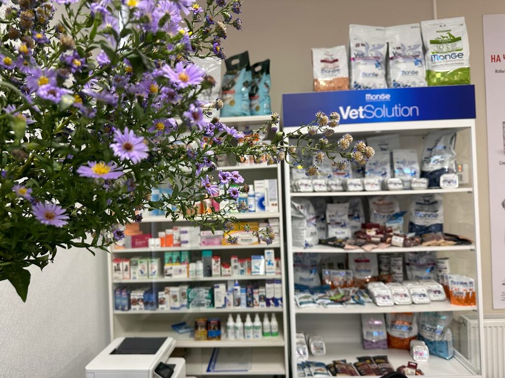 Veteriner klinikleri Vet Karta, Kırım Cumhuriyeti, foto