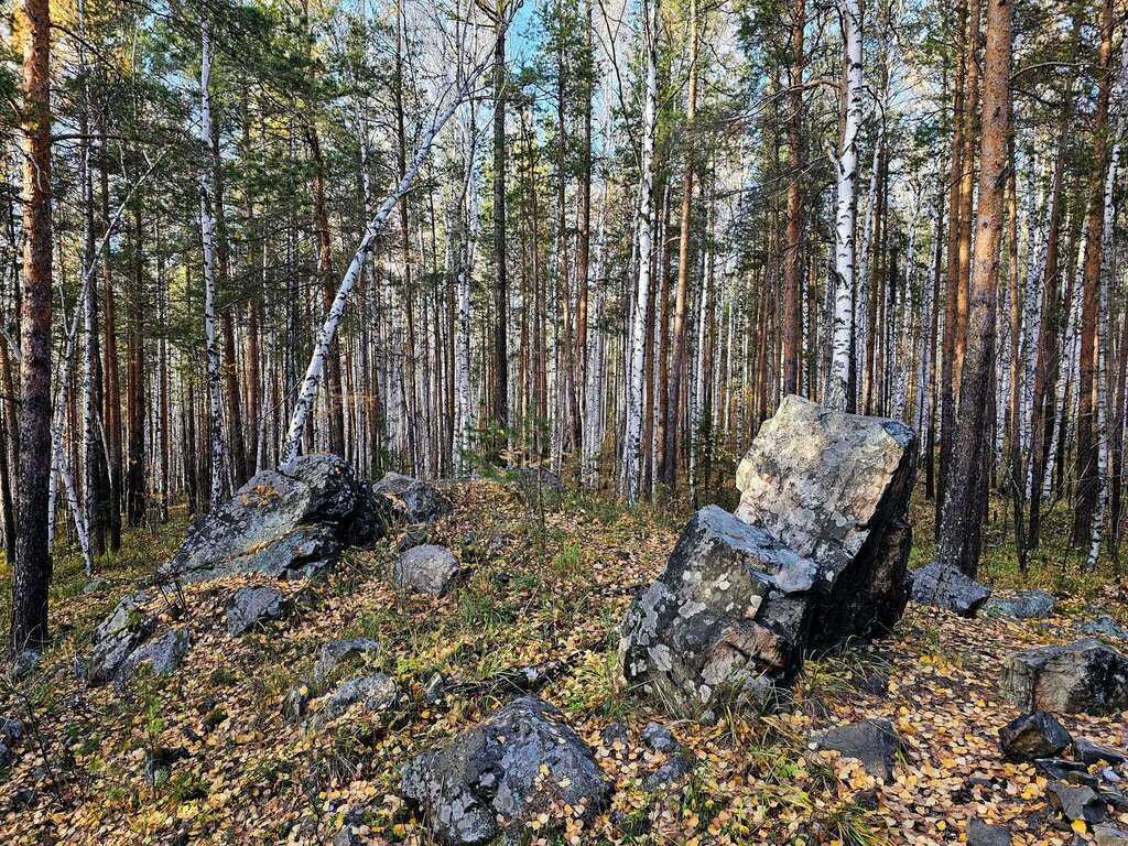 Dağ zirvesi Гора Кирпичная, Novouralsk, foto
