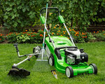 Oakwood Green Landscape Works (Al Shamsi Building, Al Khabaisi, Deira, Dubai), peyzaj tasarımı  Dubai'den