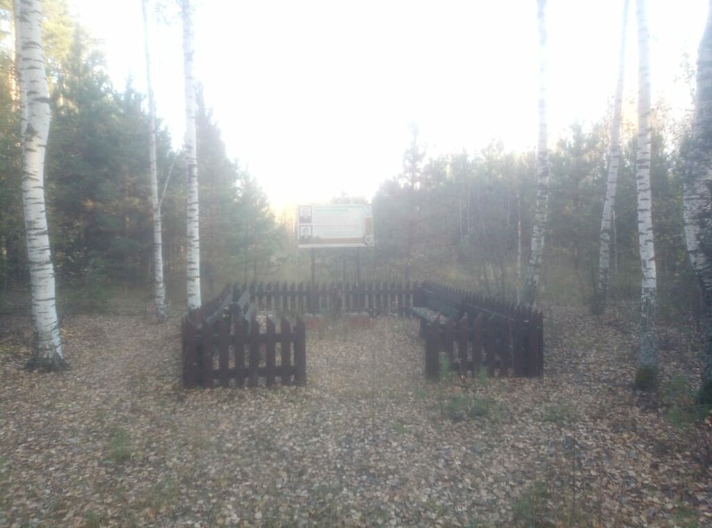 Orman işleri Khobotovsky leskhoz, Tambovskaya oblastı, foto