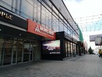 Ассоциация Сибирских и Дальневосточных городов (Vokzal'naya Magistral No:16), sivil toplum kuruluşları  Novosibirsk'ten