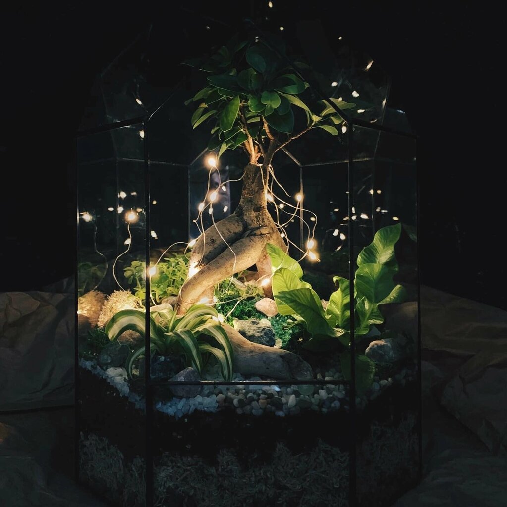 Çiçekçiler Flolefor, Moskova, foto