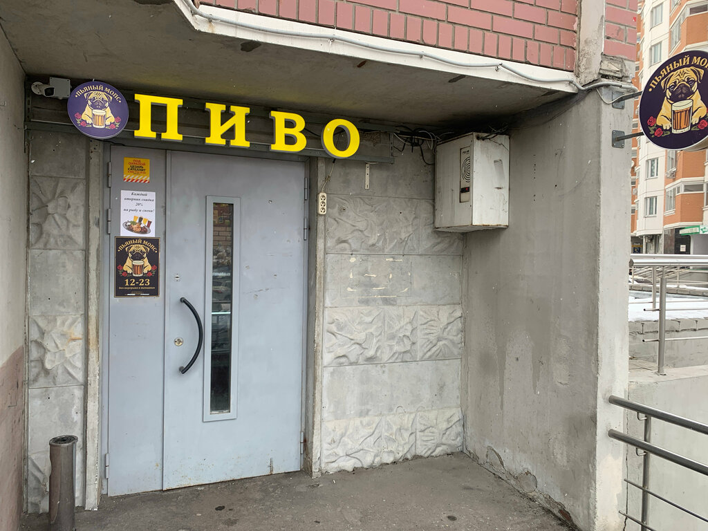 Bira dükkanı Пьяный Мопс, Moskova, foto