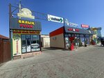Sazan (Jambyl oblysy, Taraz, Samarkand street), balık ve deniz ürünleri  Taraz'dan