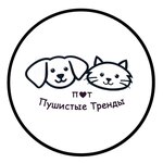 Pushistyie Trendi (Berberovskaya ulitsa No:2/101с2), petshop  Rostov‑na‑Donu'dan