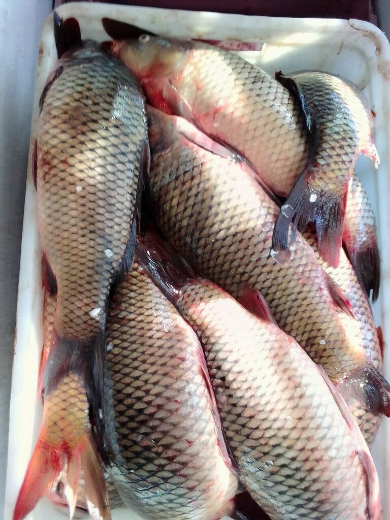 Market Водолей, Primoriye, foto