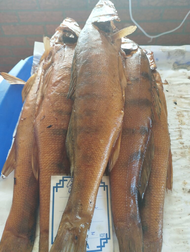 Balık ve deniz ürünleri Рыба, Tataristan, foto