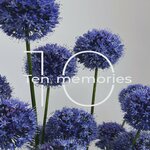Ten memories (Chelyuskintsev Street No:64), çiçekçiler  Yekaterinburg'dan