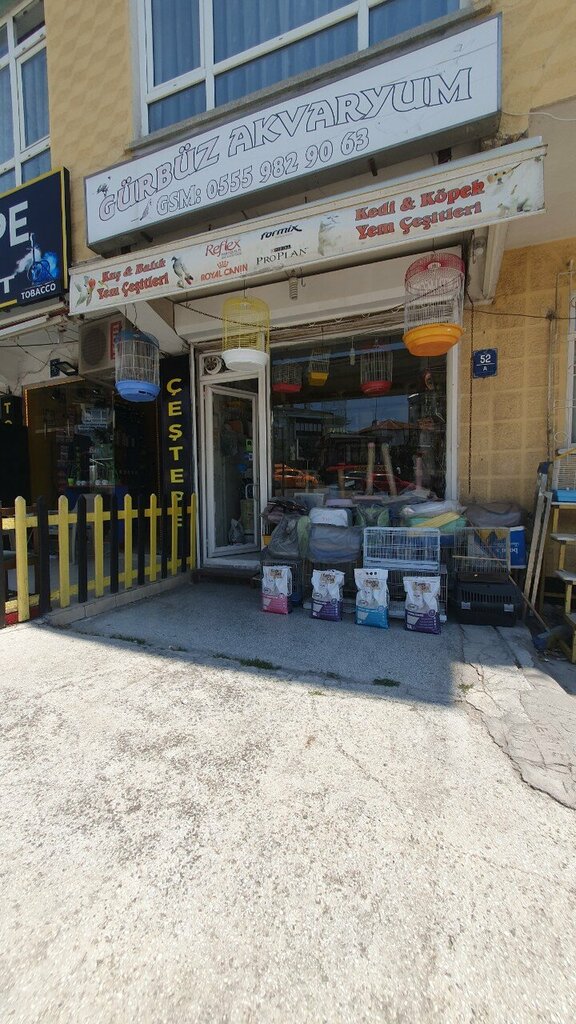 Akvaryumlar Gürbüz Akvaryum, Ankara, foto