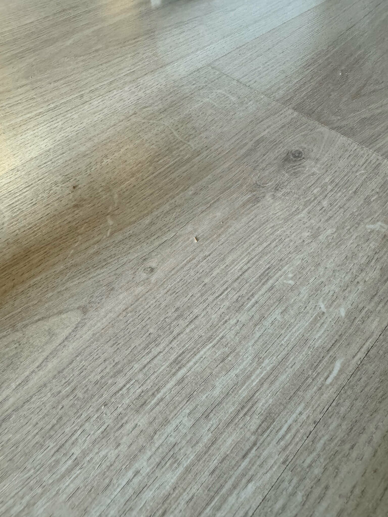 Kısa süreli konaklama Bitza Park, Moskova ve Moskovskaya oblastı, foto