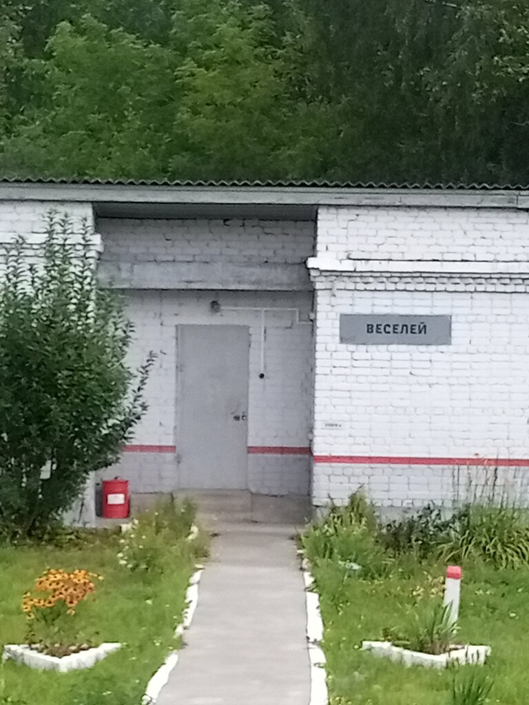Yük istasyonu разъезд Веселей, Nijegorodskaya oblastı, foto