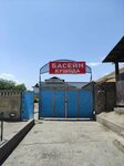 Swimming pool (Dushanbe, Sina İlçesi), yüzme havuzları  Duşanbe'den