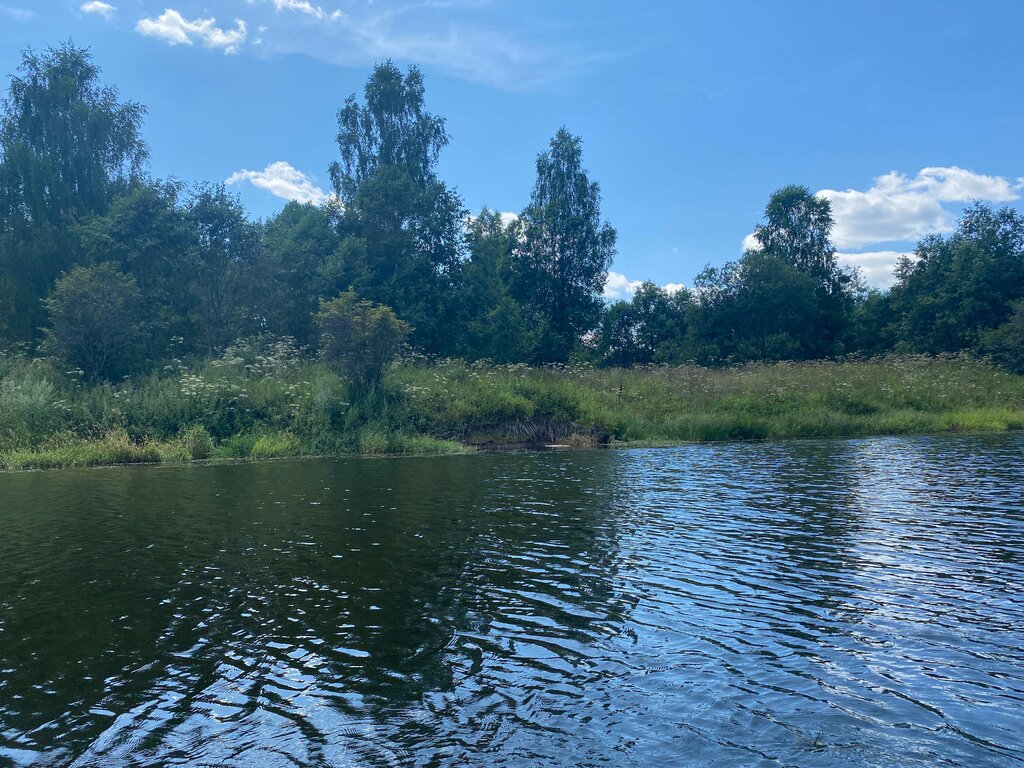 Plaj Beach, Moskova ve Moskovskaya oblastı, foto