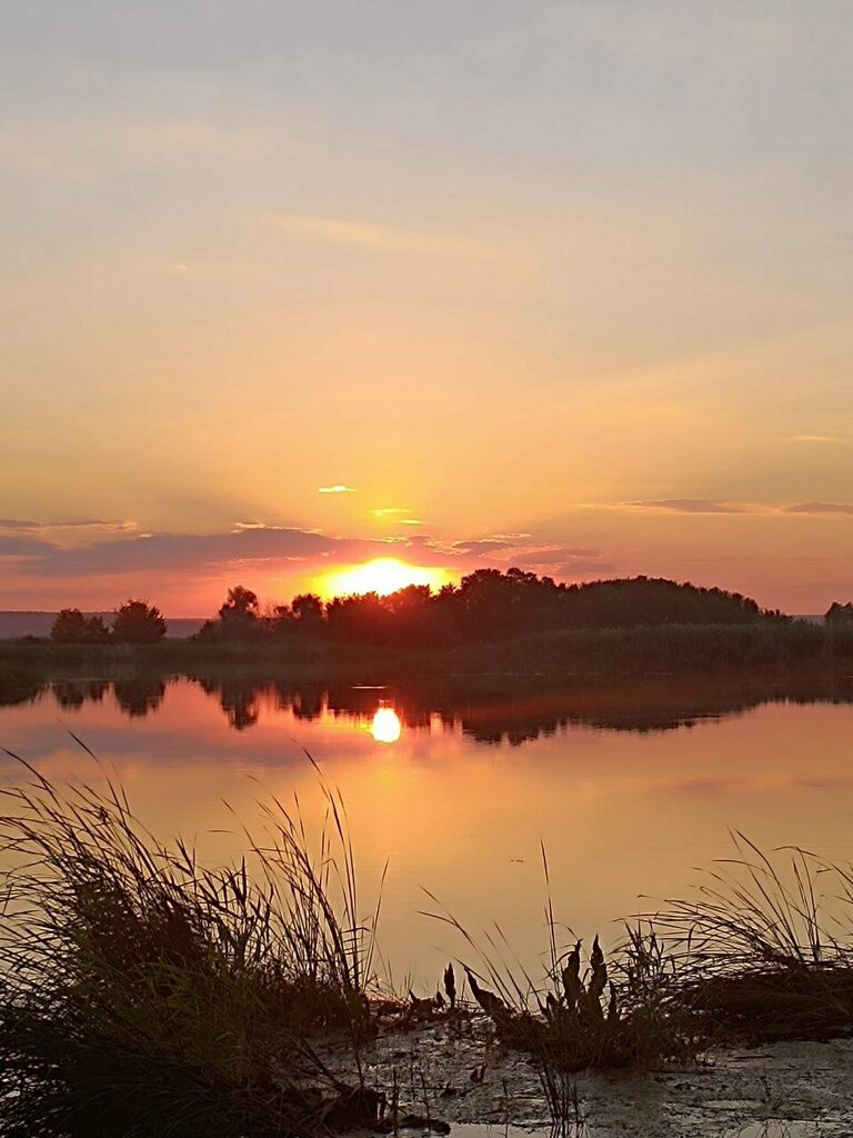 Piknik alanı Место для пикника, Saratovskaya oblastı, foto