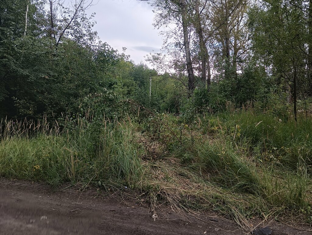 Mühendislik altyapısı Водонапорная башня, Riazanskaya oblastı, foto