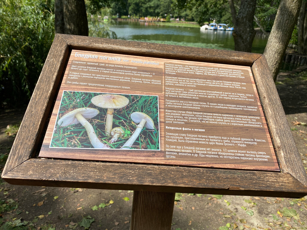 Park, sokak heykeli Поганки, Zelenogradsk, foto